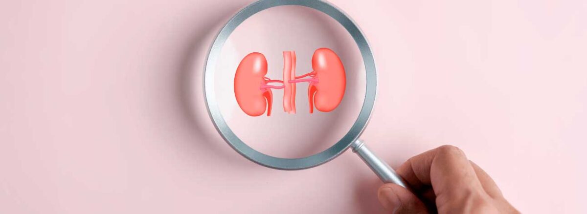 O Que é Infecção Renal? A Doença da Integrante do Grupo RBD